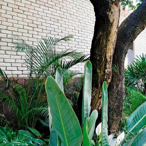 Piso/recubrimiento Muro/azulejo Kasha